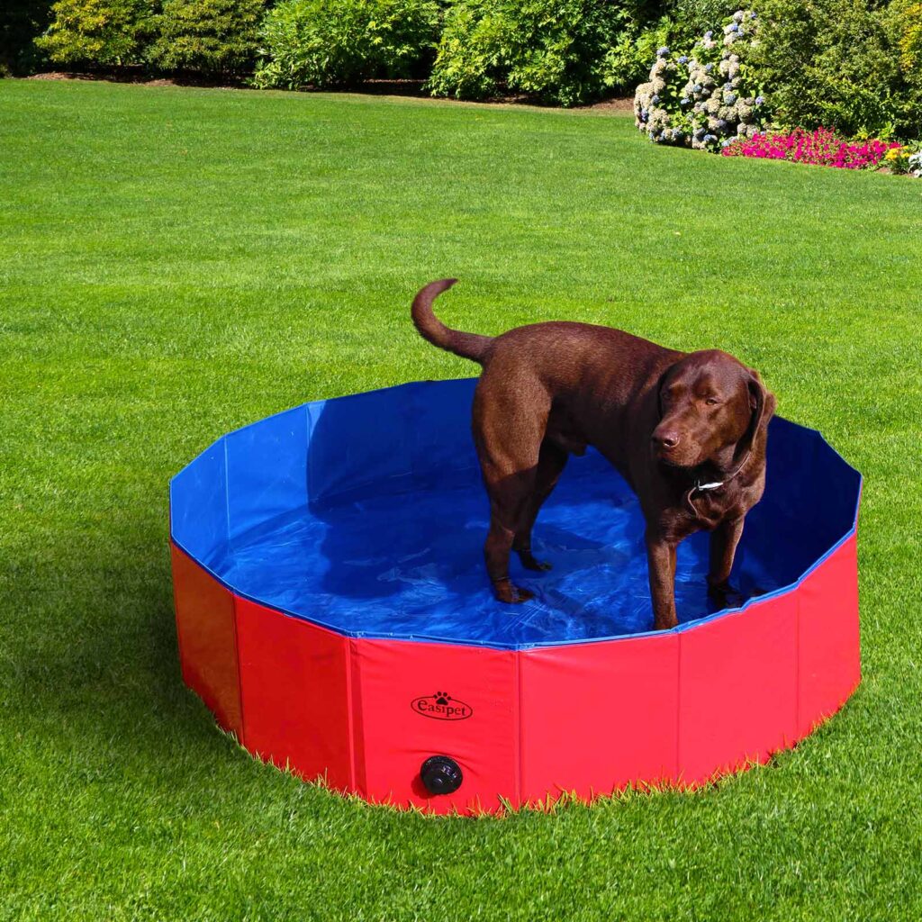 Pet Paddling Pool - Easipet | We are now Actiaspet