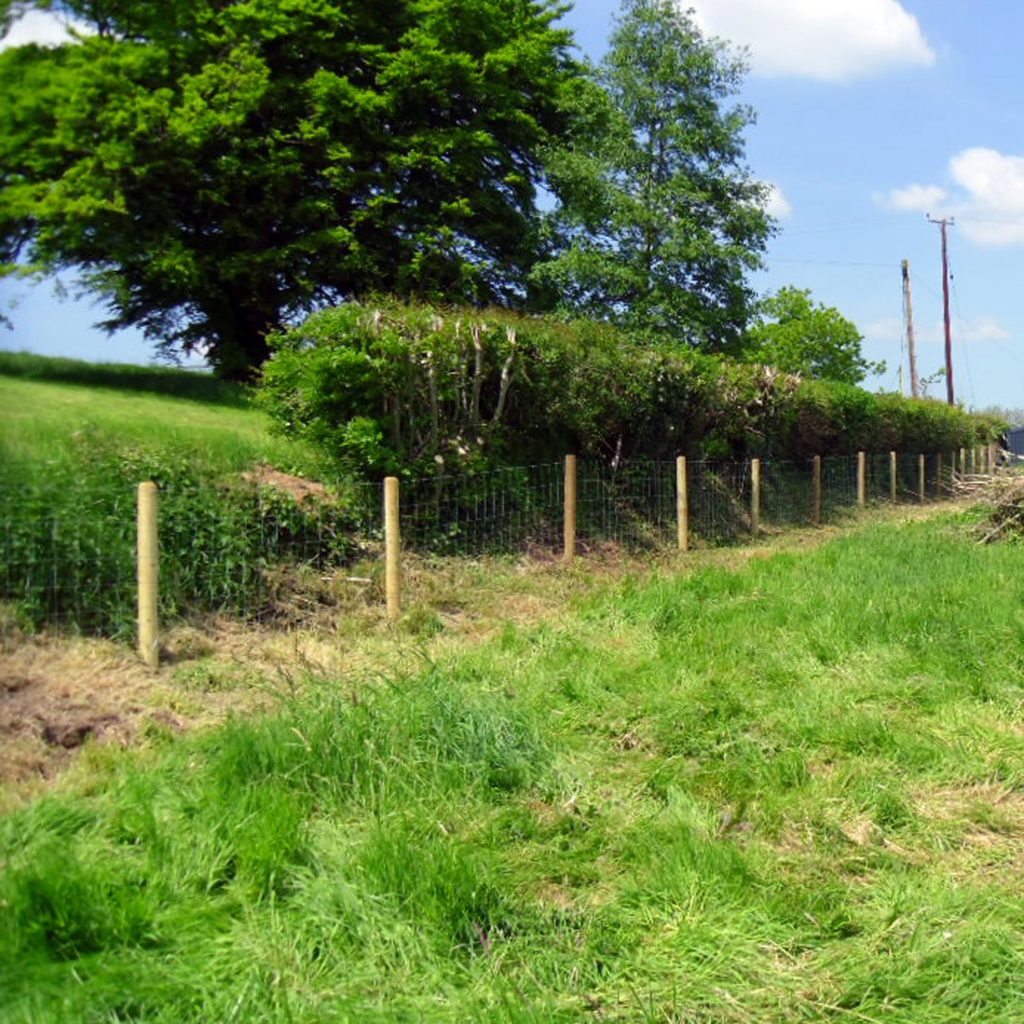 Galvanised Stock Fencing M8 50m Long 21732 - Welcome to Actiaspet