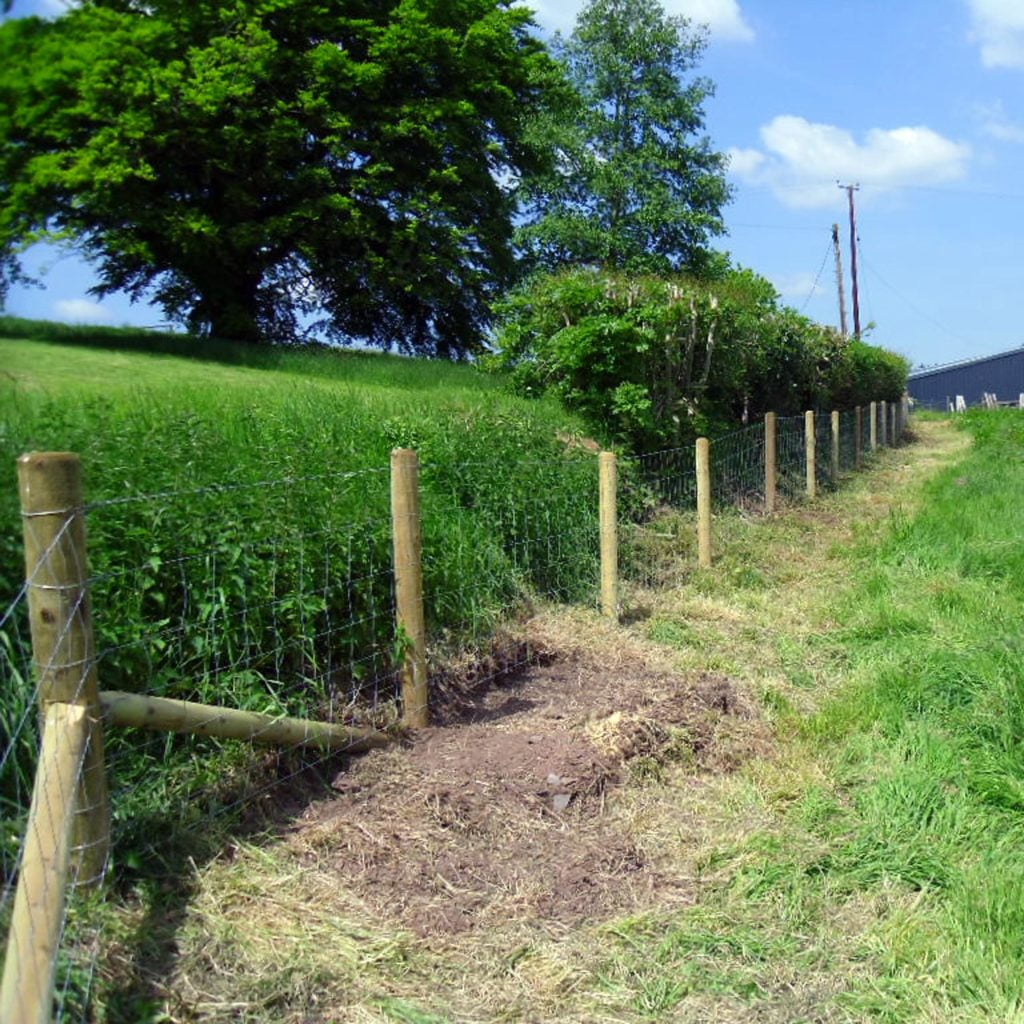 Galvanised Stock Fencing M8 50m Long 21732 - Welcome to Actiaspet