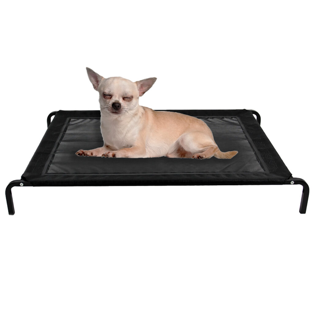 Elevated Pet Bed Black Mesh - Welcome to Actiaspet