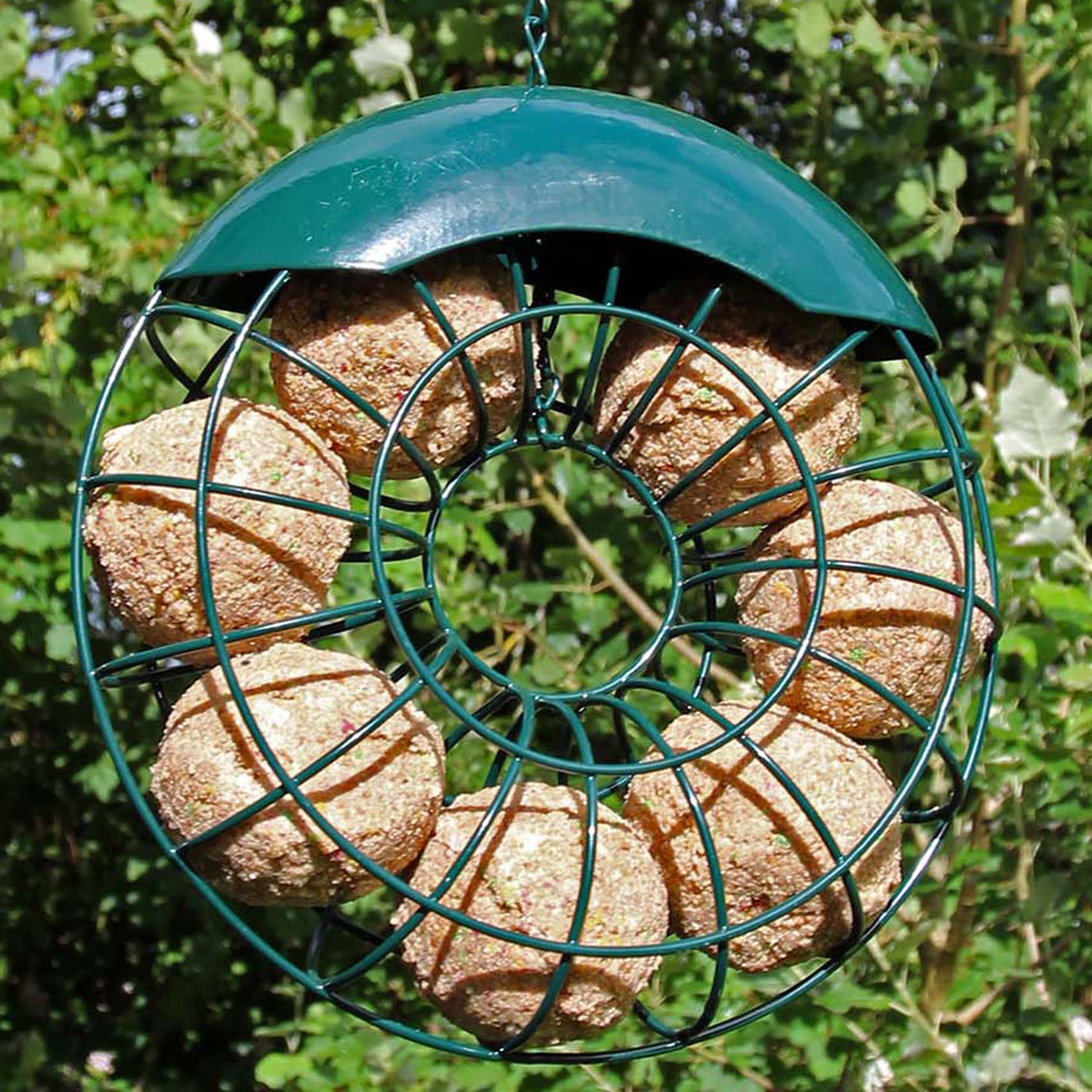 Donut Wild Bird Feeder 3pc 67200 - Welcome to Actiaspet
