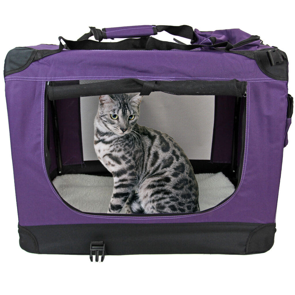 Foldable Pet Carrier Purple - Welcome to Actiaspet