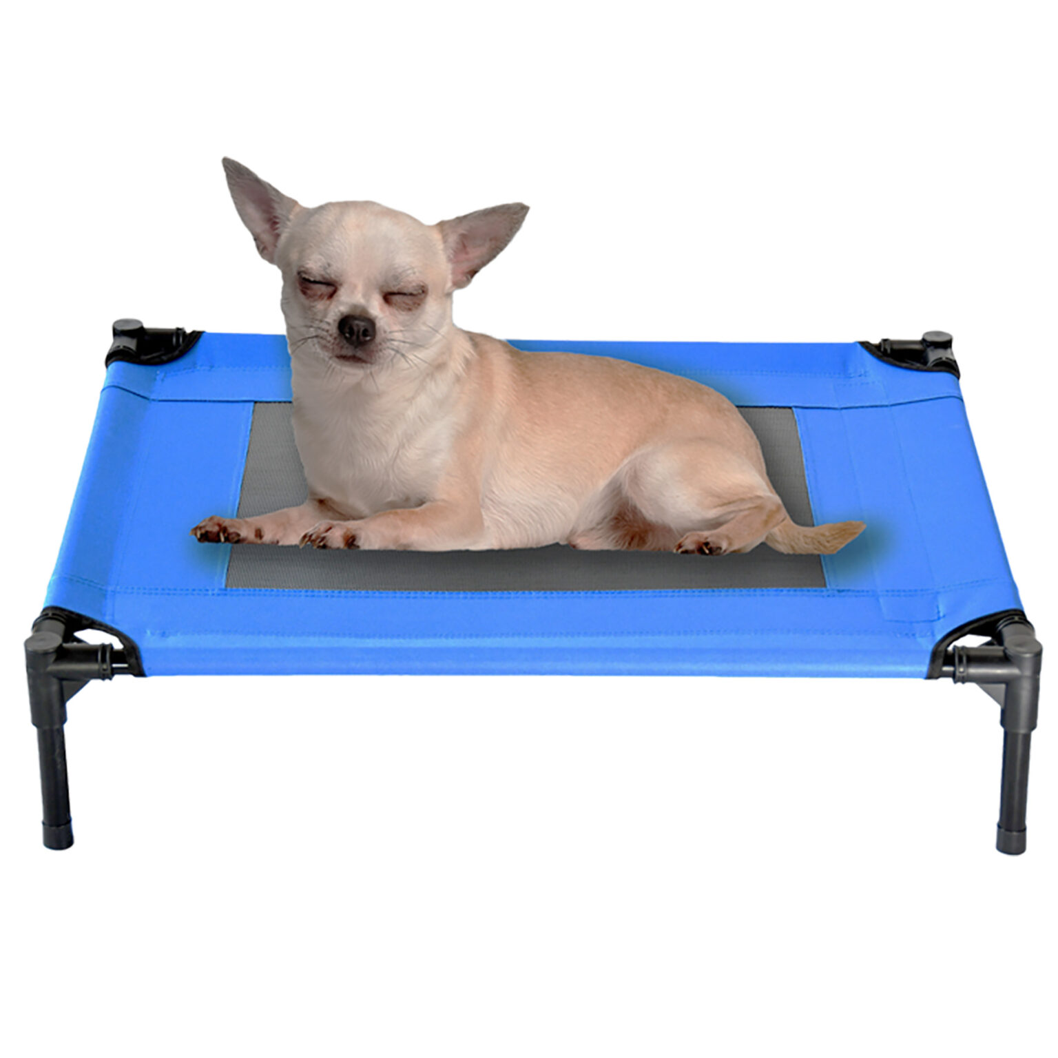 Elevated Pet Bed Blue Mesh - Welcome to Actiaspet