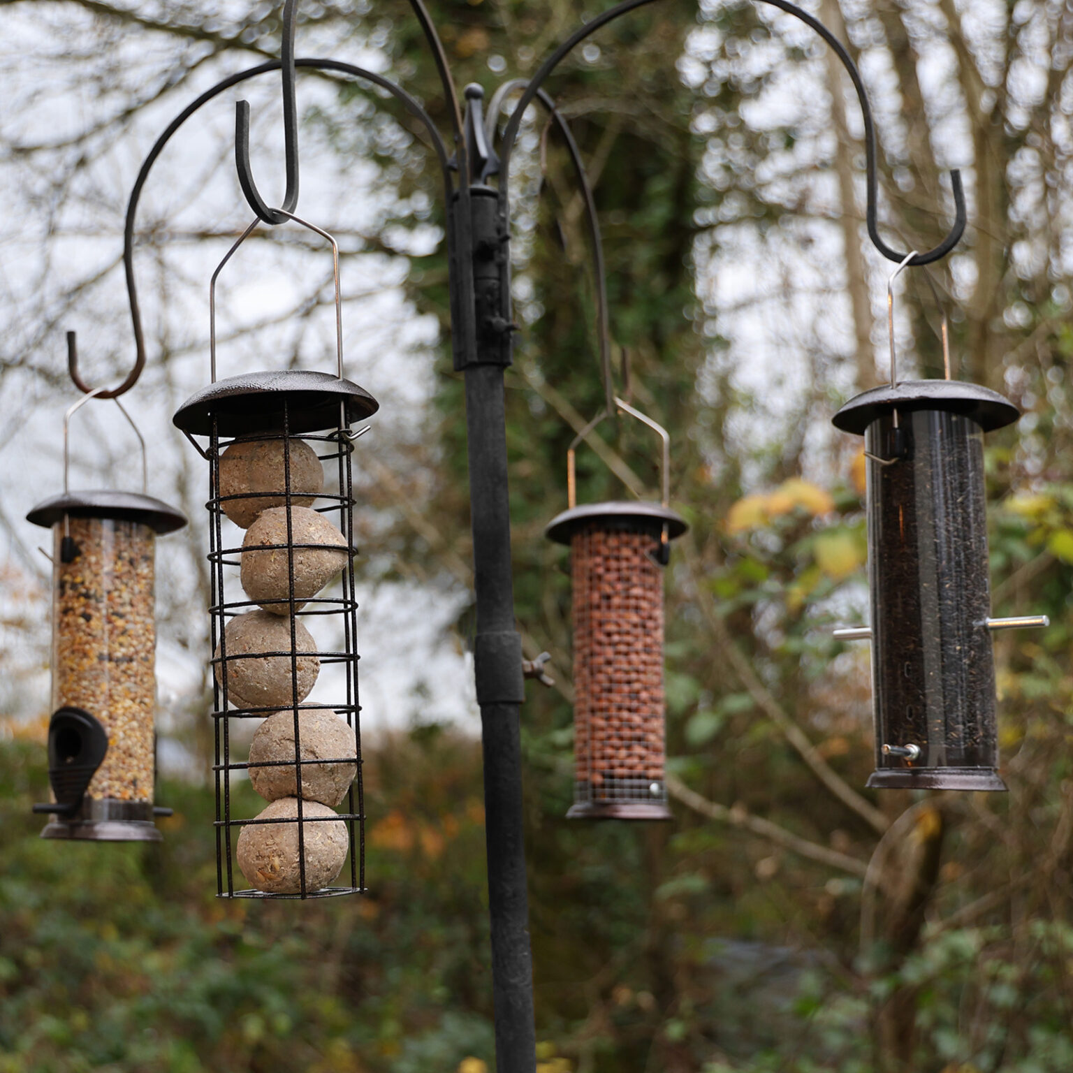 4 Hanging Wild Bird Feeders – Seed, Nut, Fat Ball & Nyjer Feeders for ...
