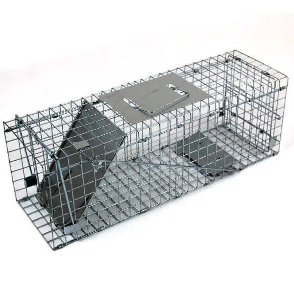 Heavy Duty Metal Humane Squirrel Trap 21993 - Welcome to Actiaspet