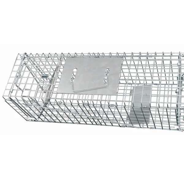 Heavy Duty Metal Humane Squirrel Trap 21993 - Welcome to Actiaspet